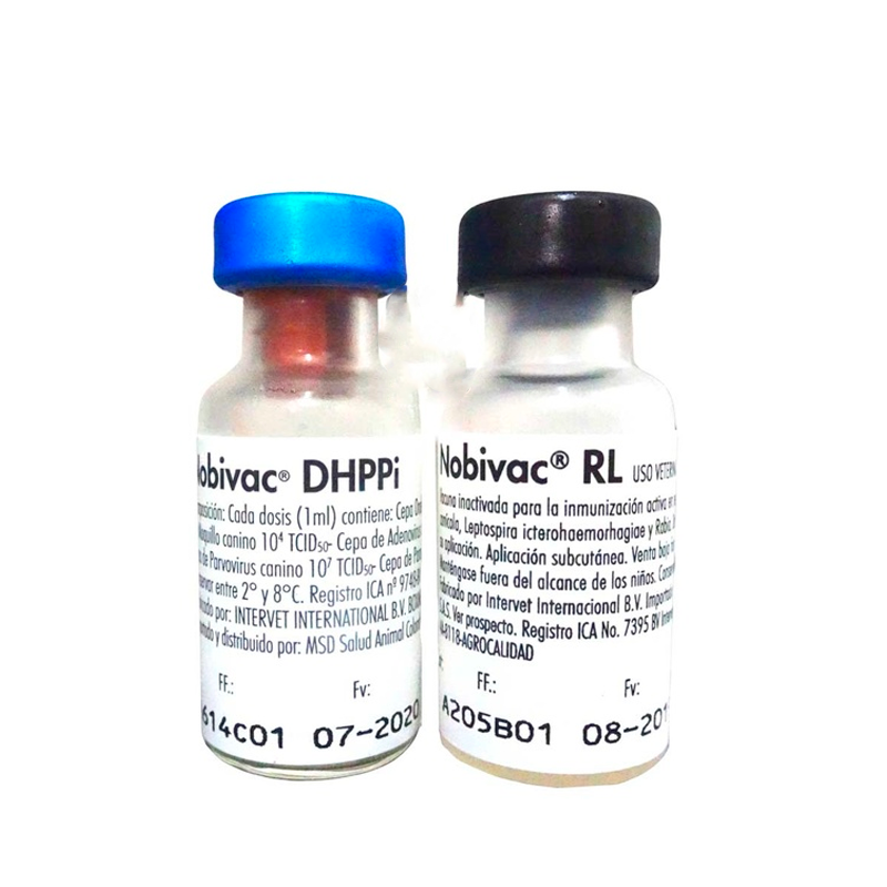 Nobivac Dhppi + RL