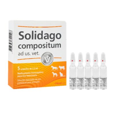Flamosin Compositum x1 Amp - Doctor Pet