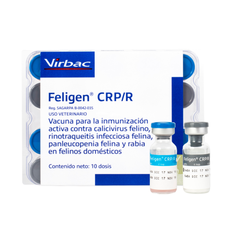 CANGLOB P VIAL X 6ML (PARVO) - Domicilios Medellín - Doctor Pet