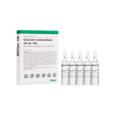 FLAMOSIN COMPOSITUM X1 AMP - Doctor Pet