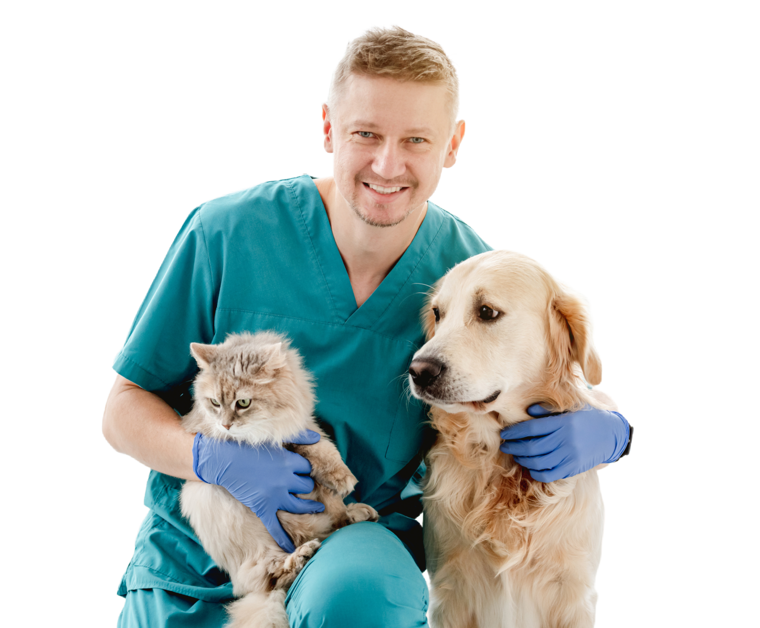 Registro - Doctor Pet
